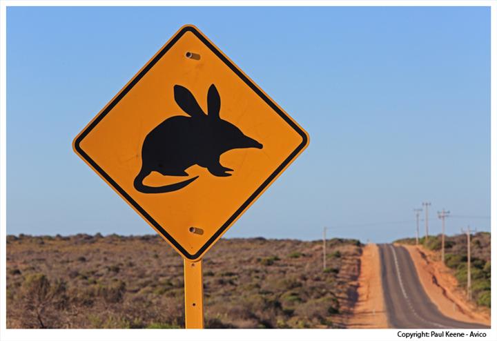 Avico Stock & Contract Photography